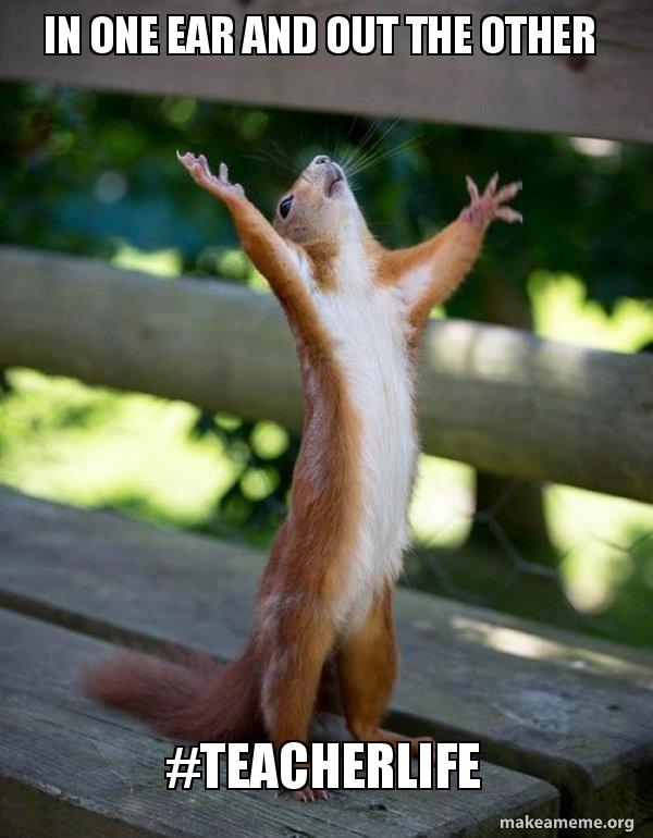 In one ear and out the other #teacherlife - Happy Squirrel Meme Generator
