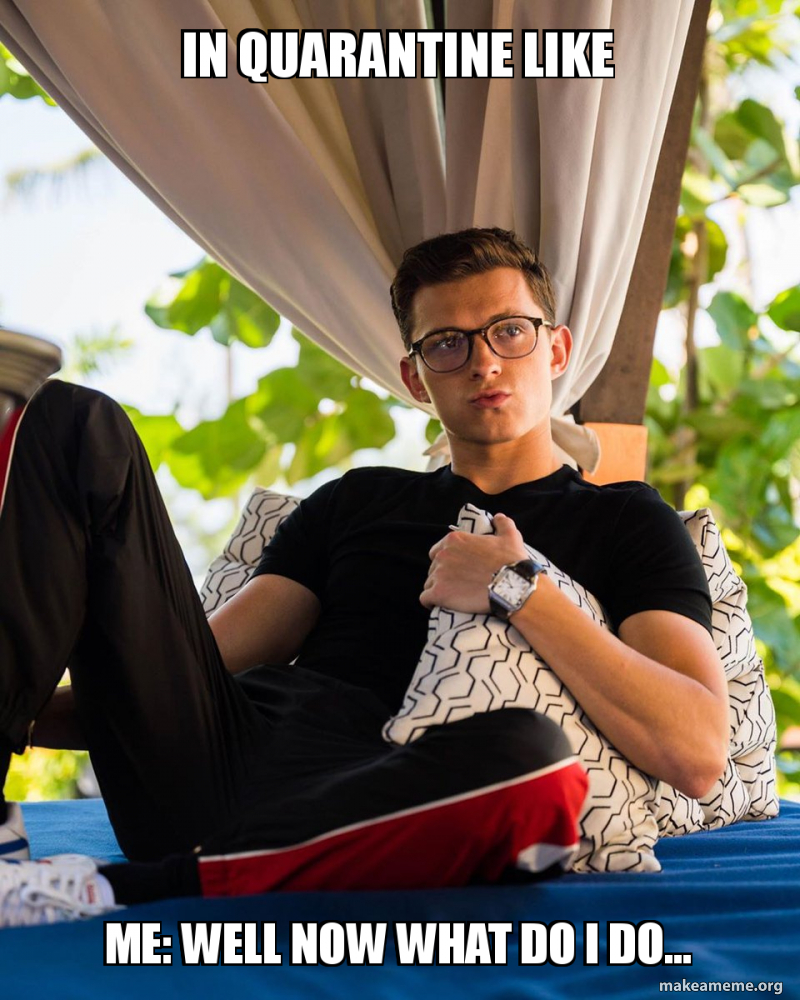 in QUARANTINE like Me: well now what do i do... - tom holland Meme ...