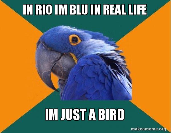 IN RIO IM BLU IN REAL LIFE im just a bird - Paranoid Parrot Meme Generator