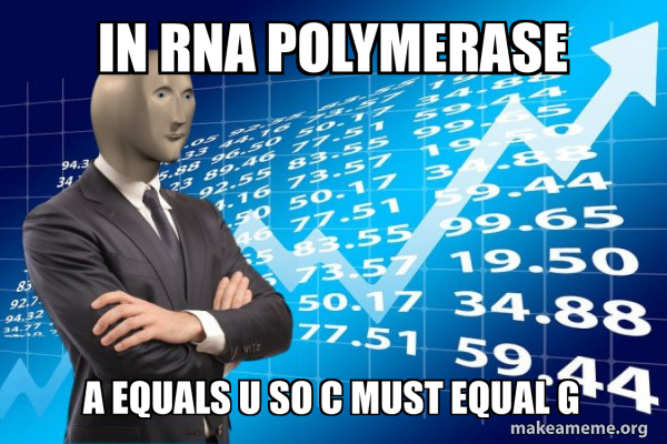 In RNA Polymerase A equals U so C must equal G - Stonks Only Go Up Meme ...