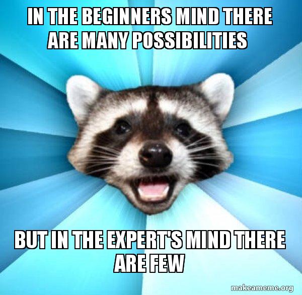 in the beginners mind there are many possibilities but in the expert's ...