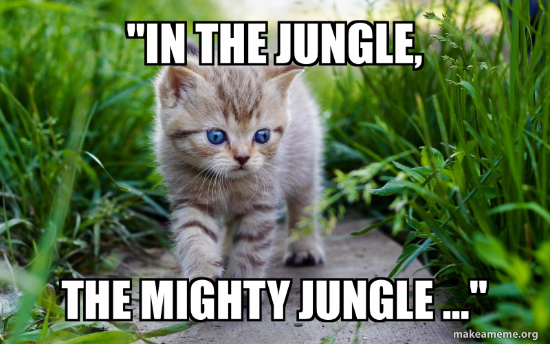"in the jungle, the mighty jungle ..." Meme Generator