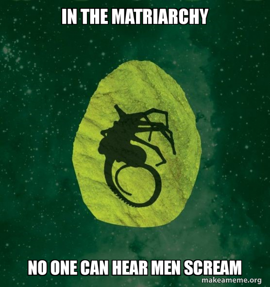 IN THE MATRIARCHY NO ONE CAN HEAR MEN SCREAM Meme Generator