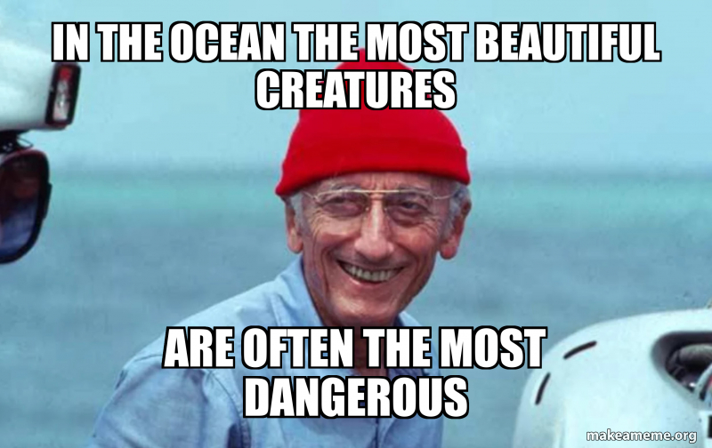in the ocean the most beautiful creatures are often the most dangerous ...