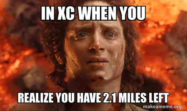 in xc when you realize you have 2.1 miles left - Frodo it's over it's ...