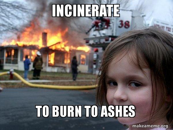 Incinerate to burn to ashes - Disaster Girl Meme Generator