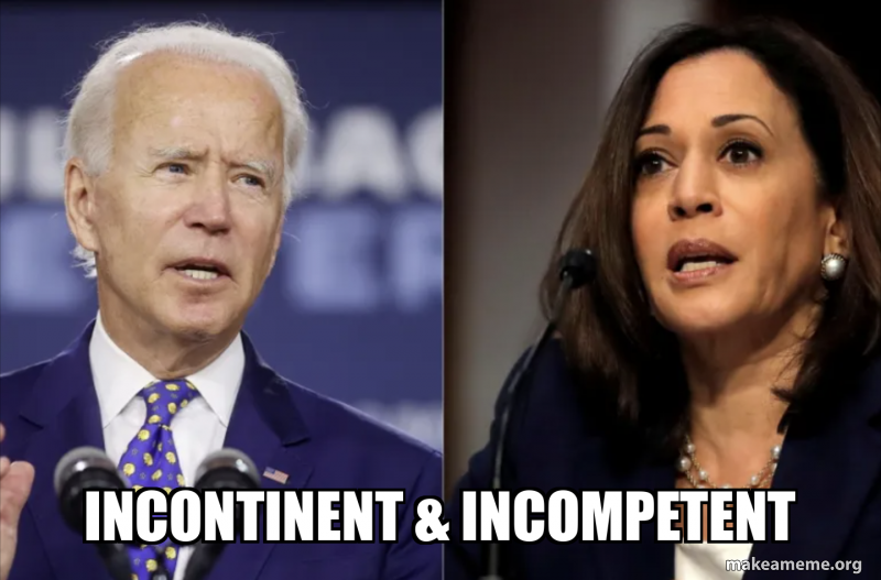 Incontinent & incompetent Meme Generator