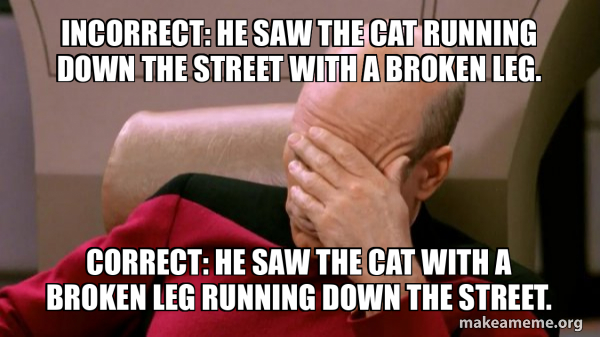 Incorrect: He saw the cat running down the street with a broken leg ...