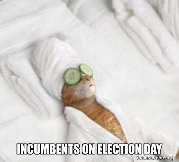 incumbents on election day - Pampered Cat Meme Meme Generator