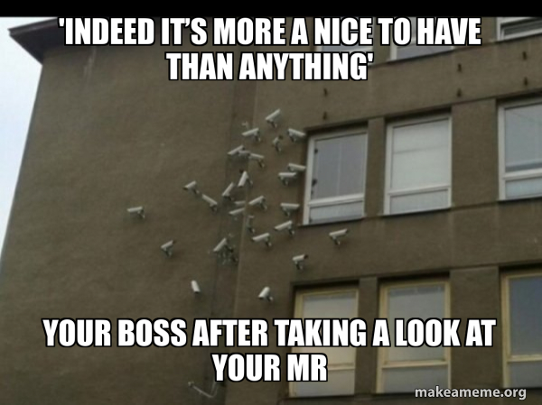'Indeed it’s more a nice to have than anything' Your boss after taking ...