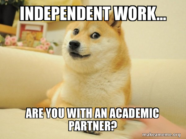 Independent Work... Are you with an ACADEMIC PARTNER? - Doge Meme Generator