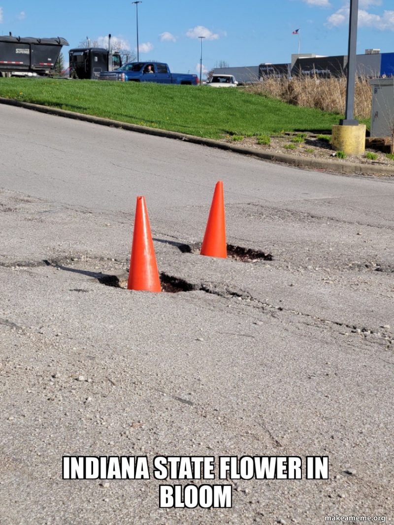 indiana state flower in bloom Meme Generator