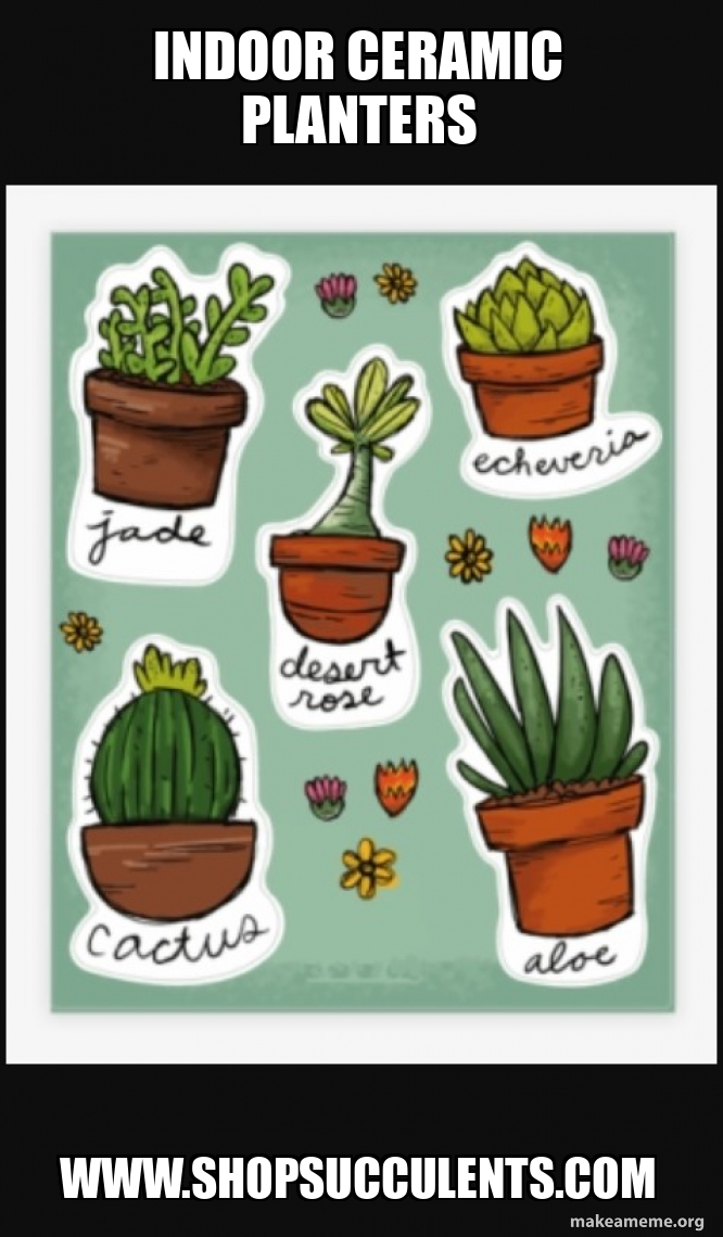 INDOOR CERAMIC PLANTERS WWW.SHOPSUCCULENTS.COM - INDOOR CERAMIC ...