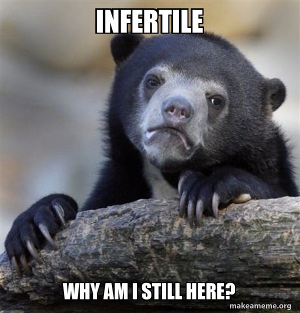 Infertile Why am I still here? - Confession Bear Meme Generator