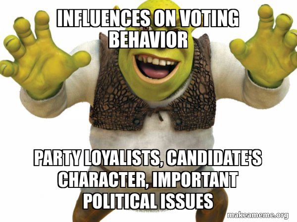Influences on Voting Behavior Party Loyalists, Candidate's Character ...