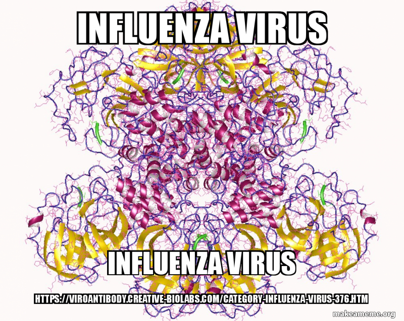 Influenza Virus Influenza Virus https://viroantibody.creative-biolabs ...