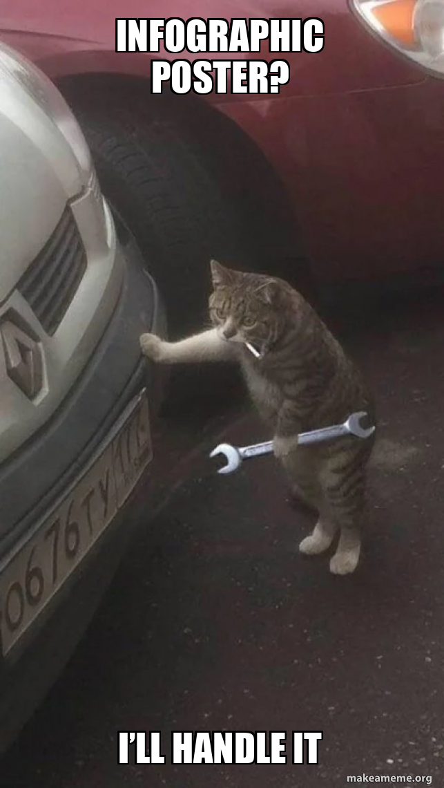 Infographic poster? I’ll handle it - Mechanic Cat Meme Generator