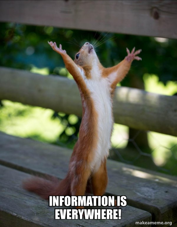 Information is Everywhere! - Happy Squirrel Meme Generator