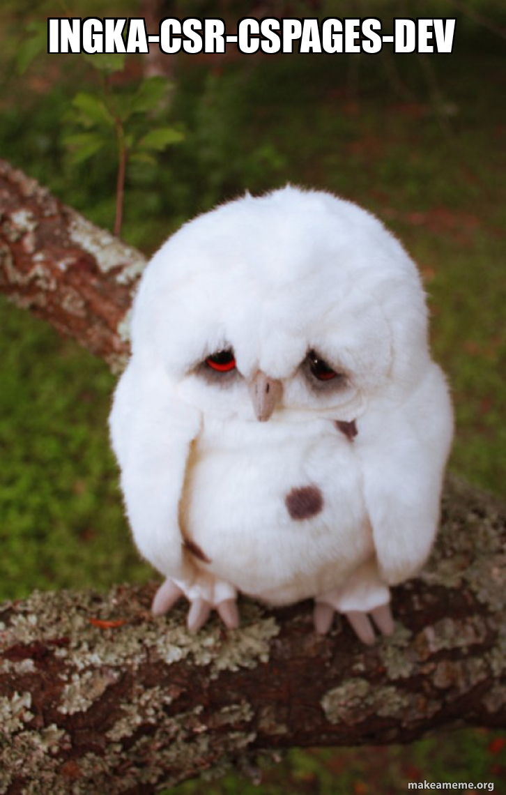 ingka-csr-cspages-dev - Sad Owl Meme Generator