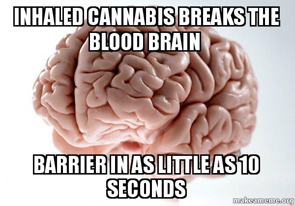 Inhaled cannabis breaks the blood brain Barrier in as little as 10 ...