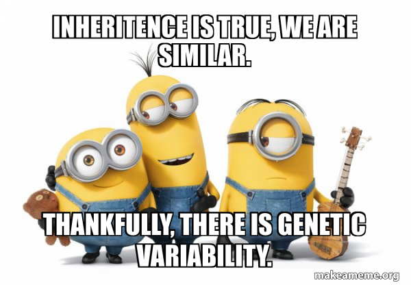 Inheritence is true, we are similar. Thankfully, there is genetic ...