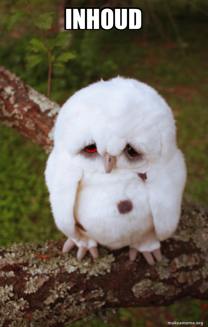 inhoud - Sad Owl Meme Generator