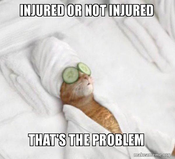 Injured or Not Injured That's the problem - Pampered Cat Meme Meme ...