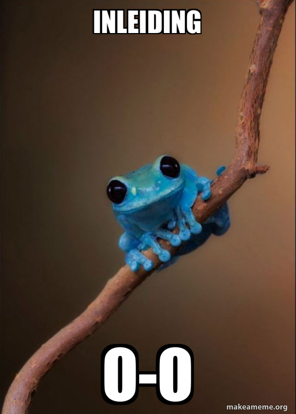 inleiding o-o - Small Fact Frog Meme Generator