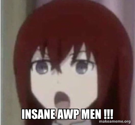 INSANE AWP MEN !!! Meme Generator