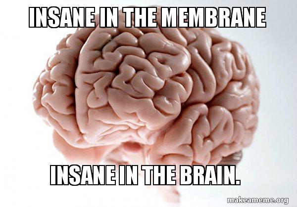 Insane in the membrane Insane in the brain. - Scumbag Brain Meme Generator