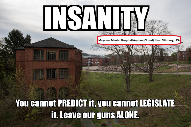 INSANITY You cannot PREDICT it, you cannot LEGISLATE it. Leave our guns ...