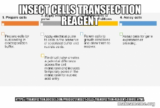insect cells transfection reagent https://transfection.bocsci.com ...
