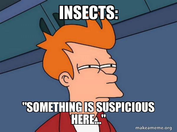 Something To Do Here Meme