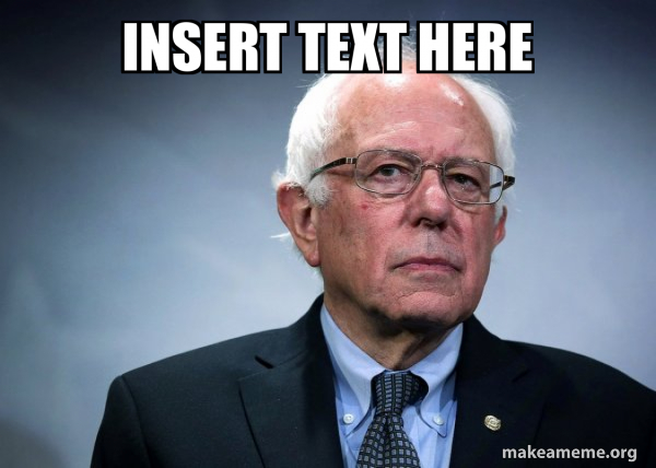 Insert text here - Bernie Sanders Meme Generator