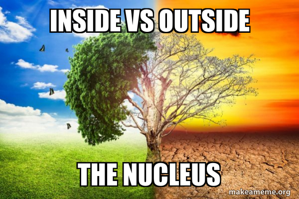 INSIDE vs OUTSIDE the nucleus - Climate Change / Global Warming Meme ...