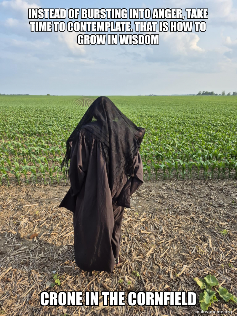 Instead of bursting into anger, take time to contemplate. That is how ...