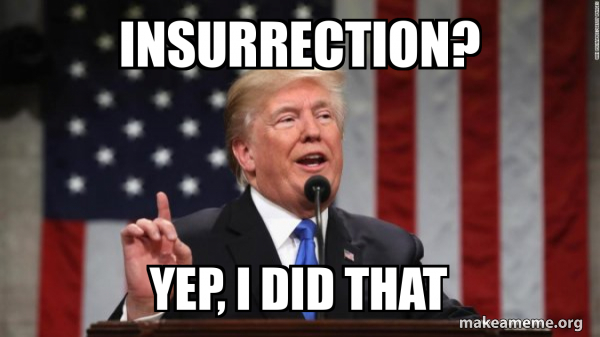 INSURRECTION? YEP, I DID THAT - Donald Trump Meme Generator