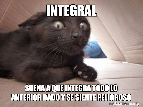 Memes Integrales Integrals Memes. Best Collection Of Funny Integrals