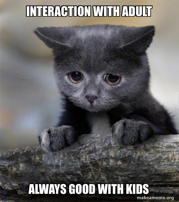 Interaction with adult Always good with kids - Confession Cat Meme ...