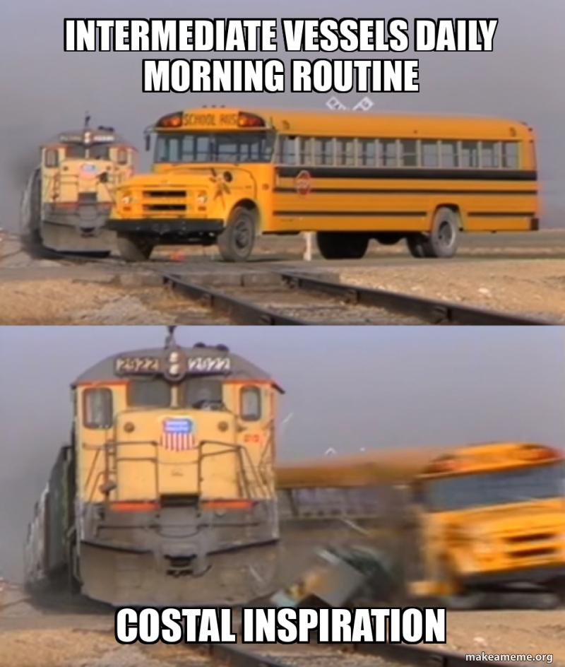 Intermediate vessels daily morning routine Costal inspiration Meme ...