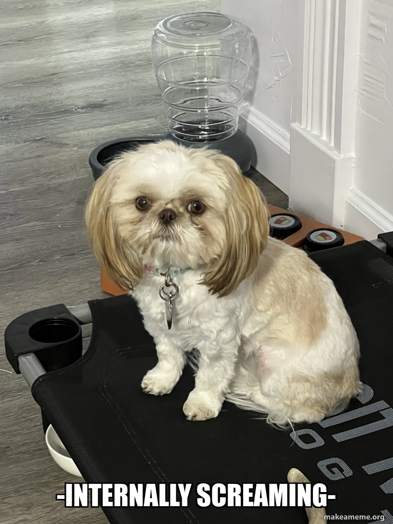 -internally screaming- Meme Generator