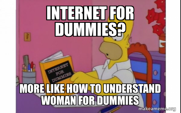 Internet for dummies? More like how to understand woman for dummies ...