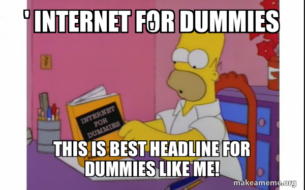 ' INTERNET FOR DUMMIES ' THIS IS BEST HEADLINE FOR DUMMIES LIKE ME ...