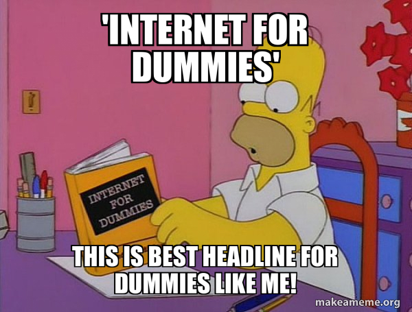 'INTERNET FOR DUMMIES' THIS IS BEST HEADLINE FOR DUMMIES LIKE ME ...