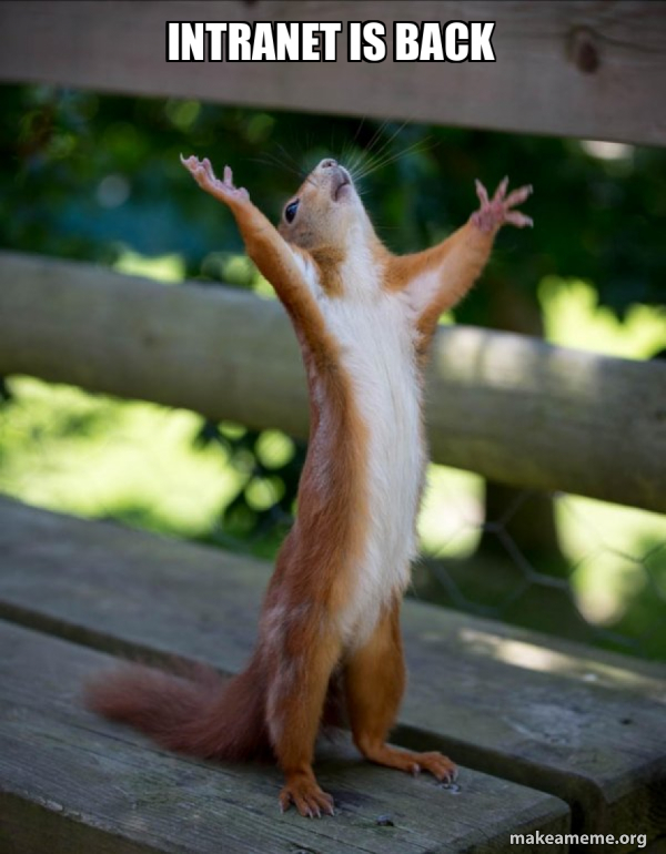 Intranet is back - Happy Squirrel Meme Generator