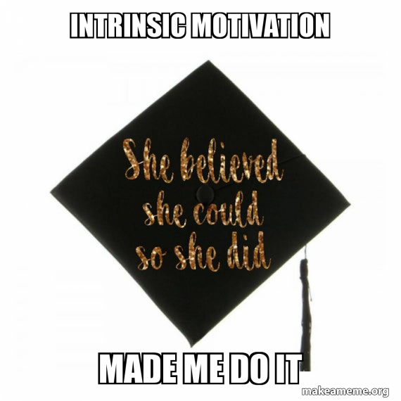 Intrinsic Motivation Made me do it Meme Generator