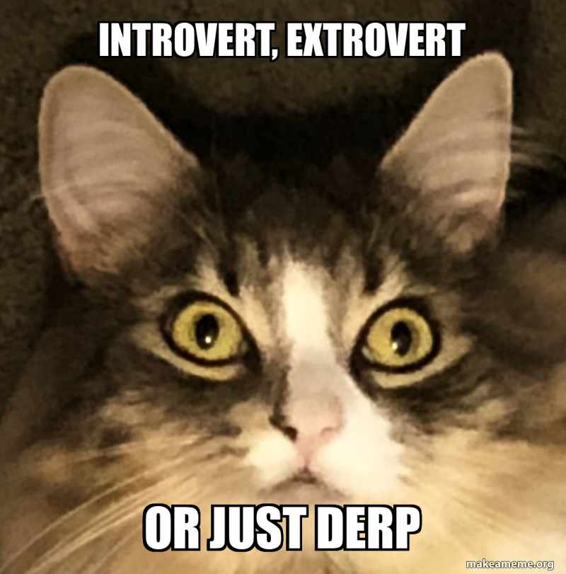 Introvert, extrovert Or just Derp Meme Generator