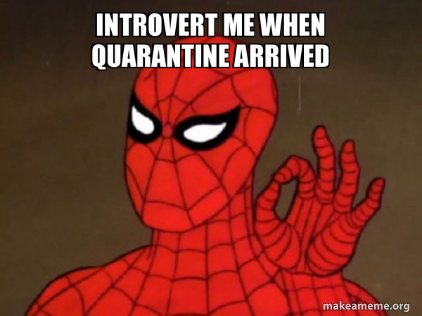 introvert me when quarantine arrived - Spiderman - Care factor Zero ...