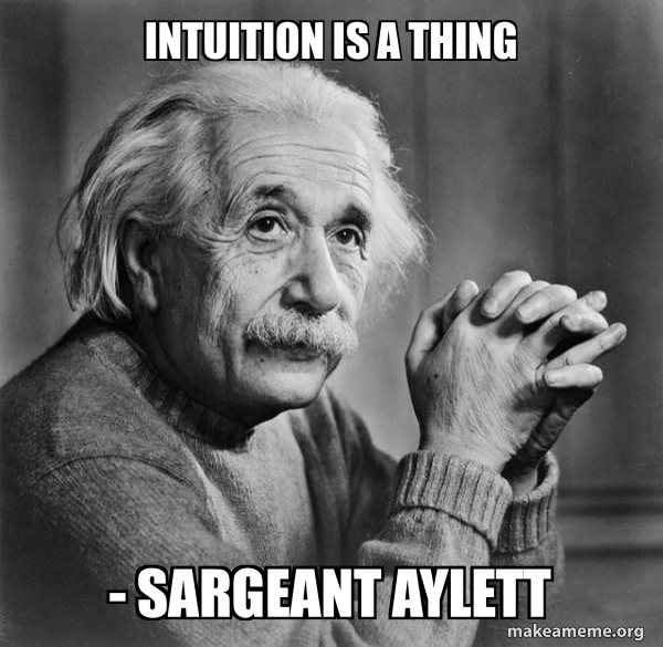 Intuition is a thing - Sargeant Aylett - Serious Albert Einstein Meme ...