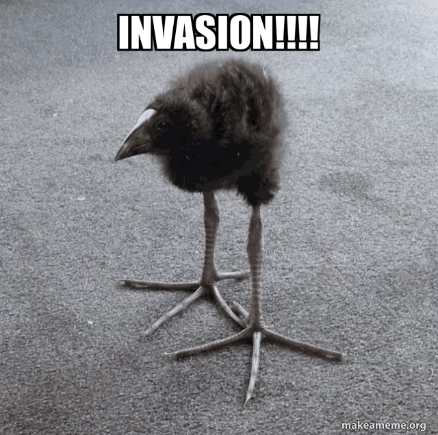 INVASION!!!! Meme Generator